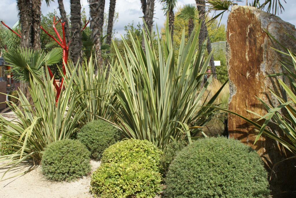 Lancement de My Garden Designer - Mon Jardin Ma Terrasse